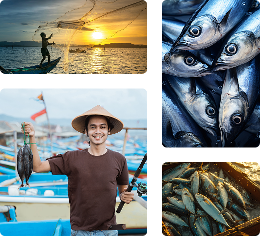 Dinas Perikanan Kabupaten Bulungan